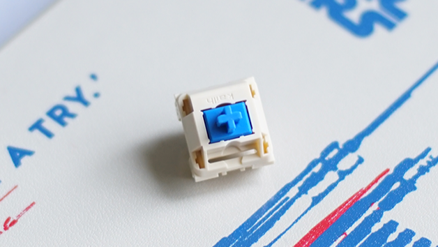 NovelKeys_ Blueberry Switches